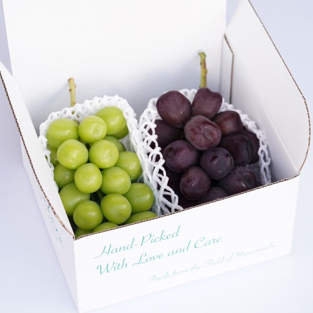 【3周年記念】 Inakakara 富士の輝＆シャインマスカット 1.1~1.2kg（2房）