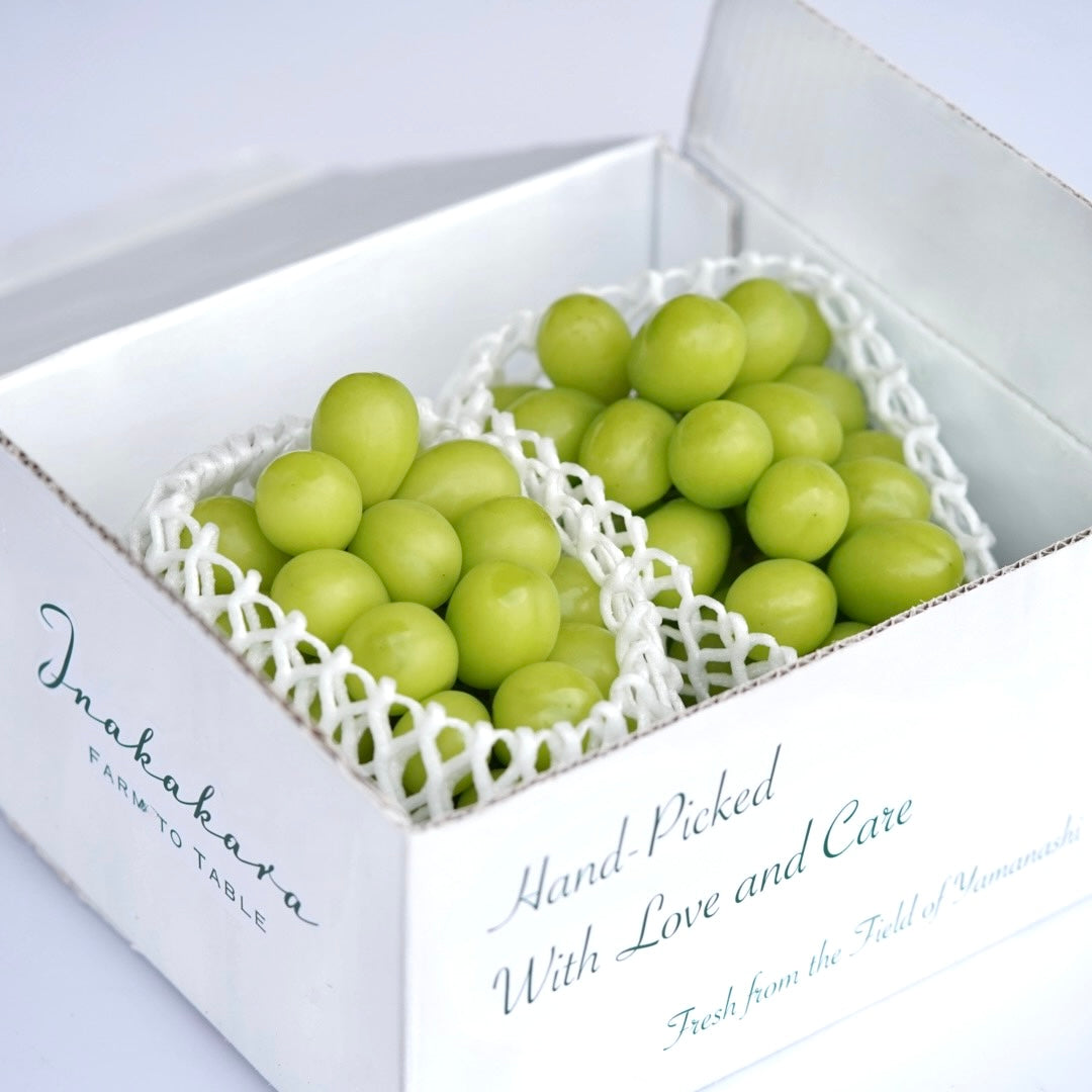 【3周年記念】 Inakakara シャインマスカット 2房入り約1.1kg以上