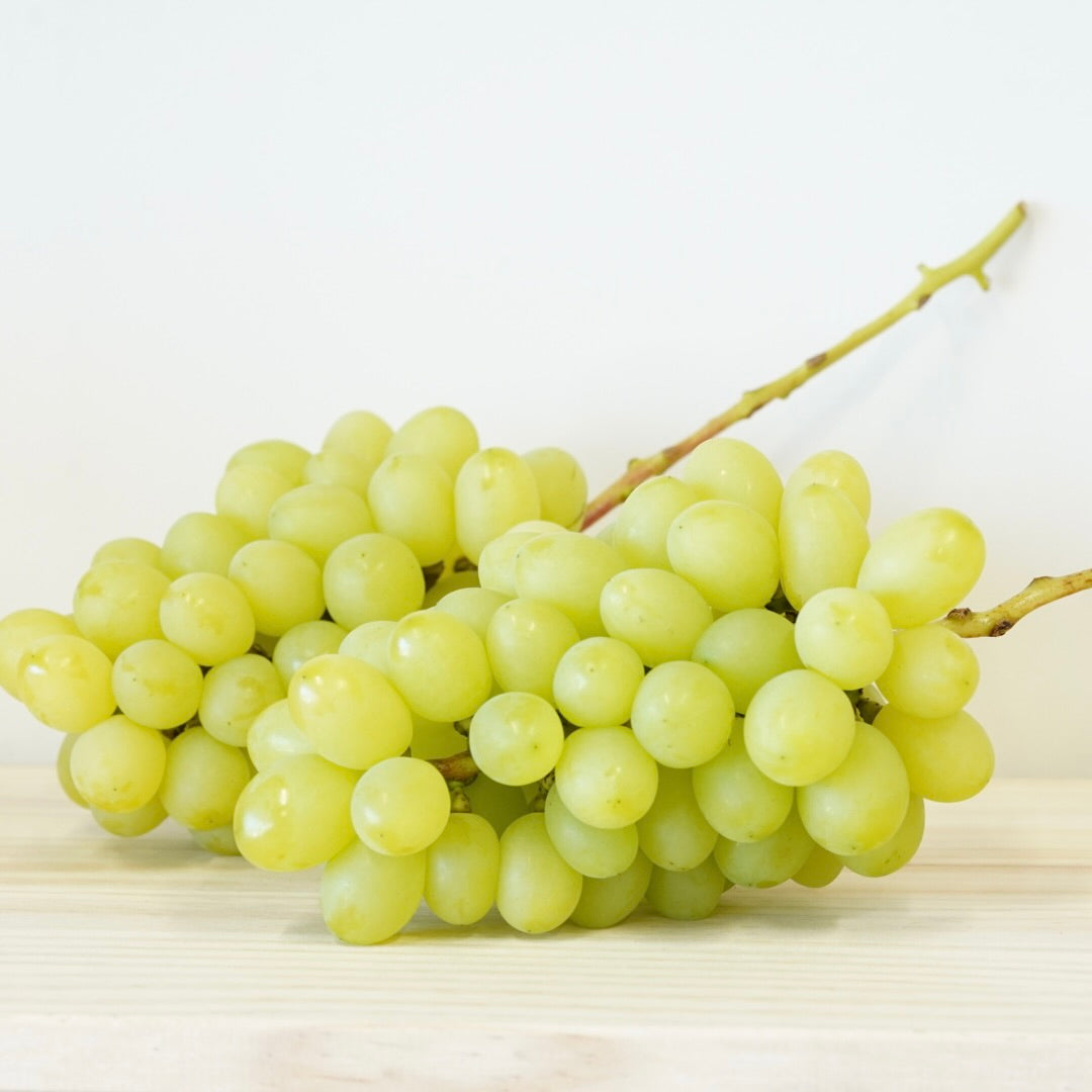 山梨県産ジュエルマスカット 1-4房 ｜8月中旬発送｜山梨の産直ならイナカカラ – Inakakara