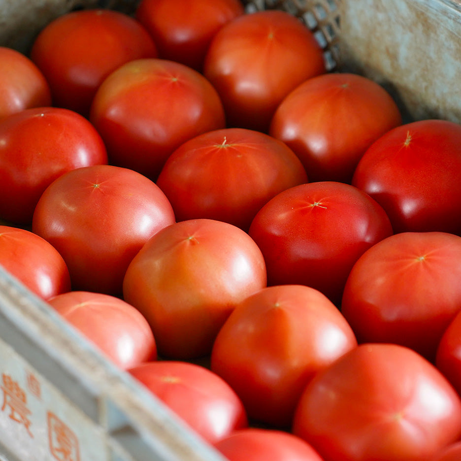完熟朝どれの桃太郎トマト 2kg｜山梨の産直ならイナカカラ – Inakakara