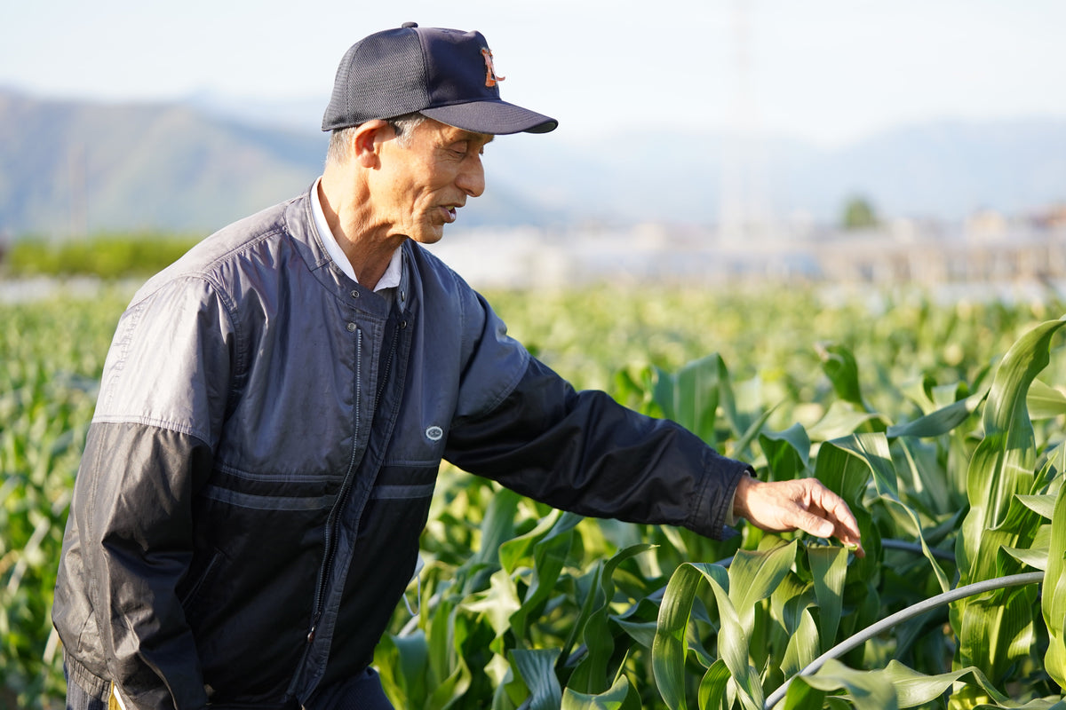 絶品とうもろこし「きみひめ」を今年もお待ち頂いているお客様へ – Inakakara