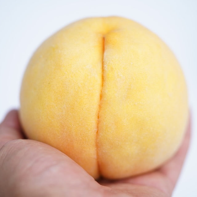 わずか二週間だけの奇跡・黄金桃【2025年8月下旬から発送】｜山梨の産直ならイナカカラ – Inakakara