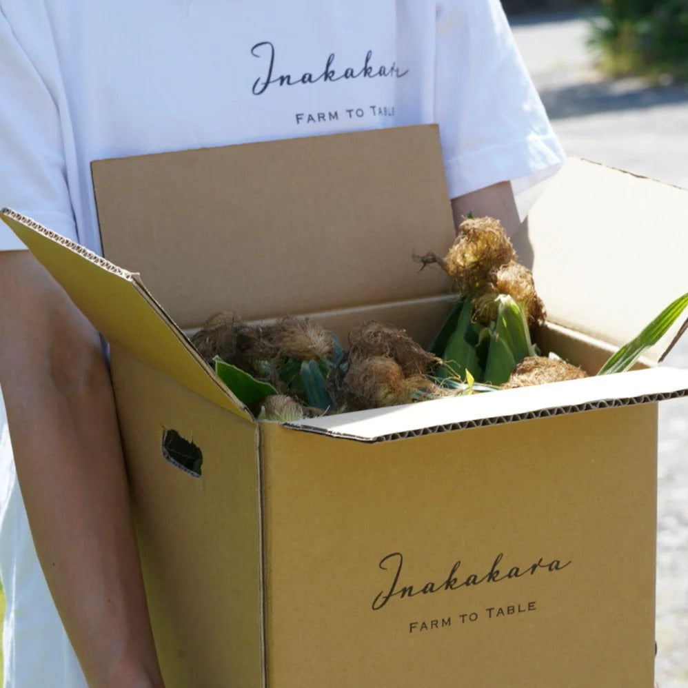 山梨県産とうもろこしの王様「ドルチェドリーム」6月より発送｜山梨の産直ならイナカカラ – Inakakara